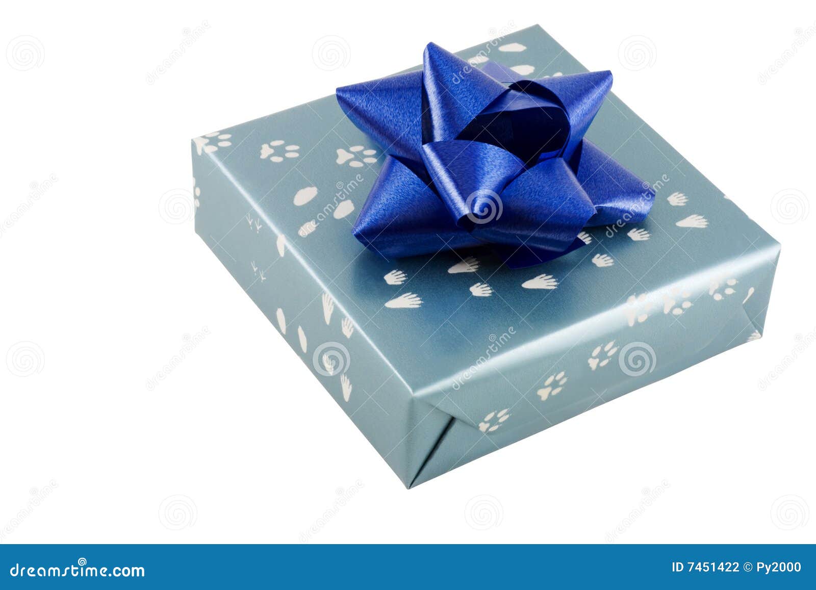 Blue Present Bow