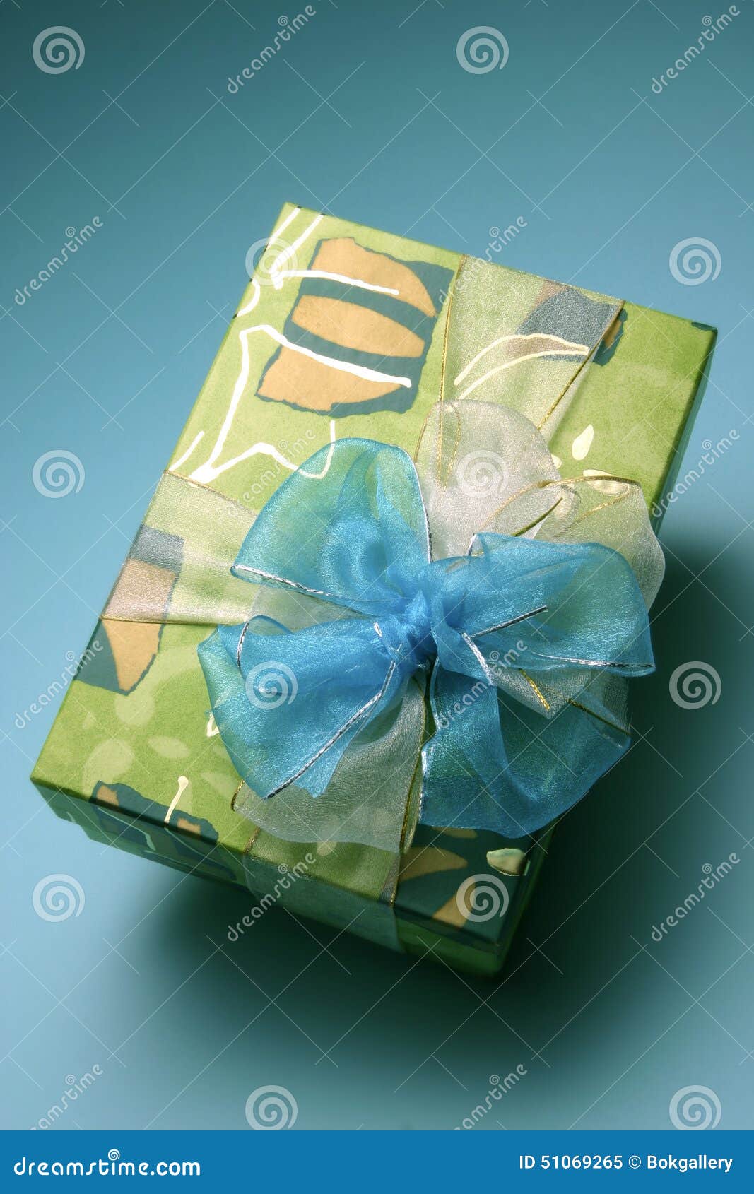 Wrapped present stock image. Image of present, wrapped - 51069265