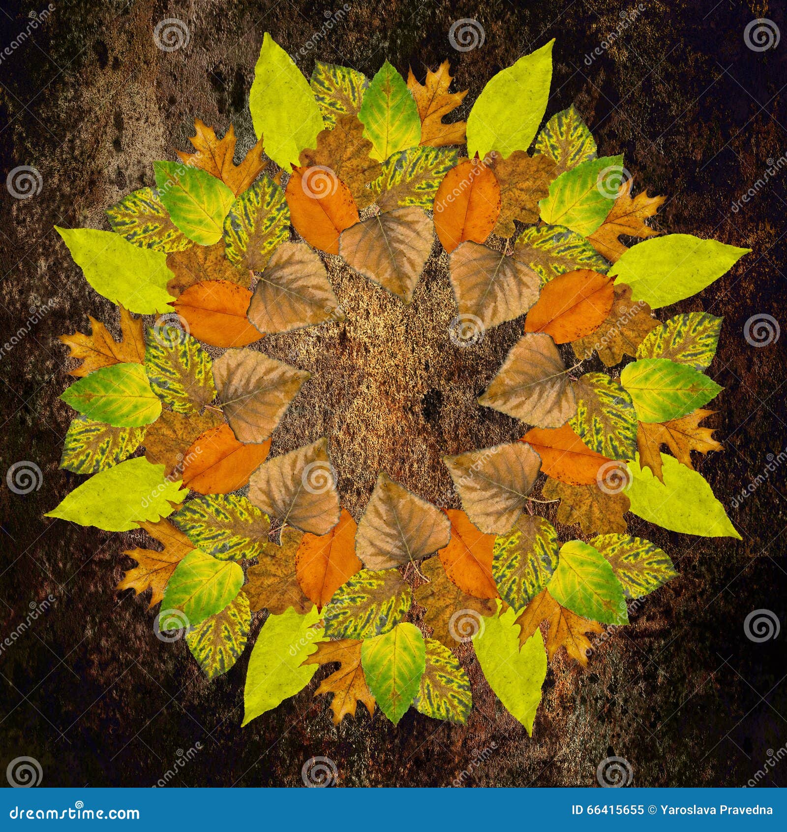 Wreath of autumn leaves stock image. Image of defoliation - 66415655
