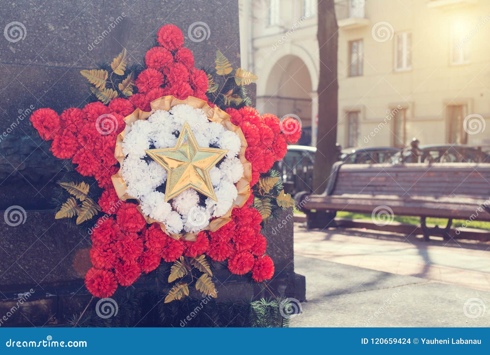 Wreath in the Form of a Star from a Carnation Stock Photo - Image of ...