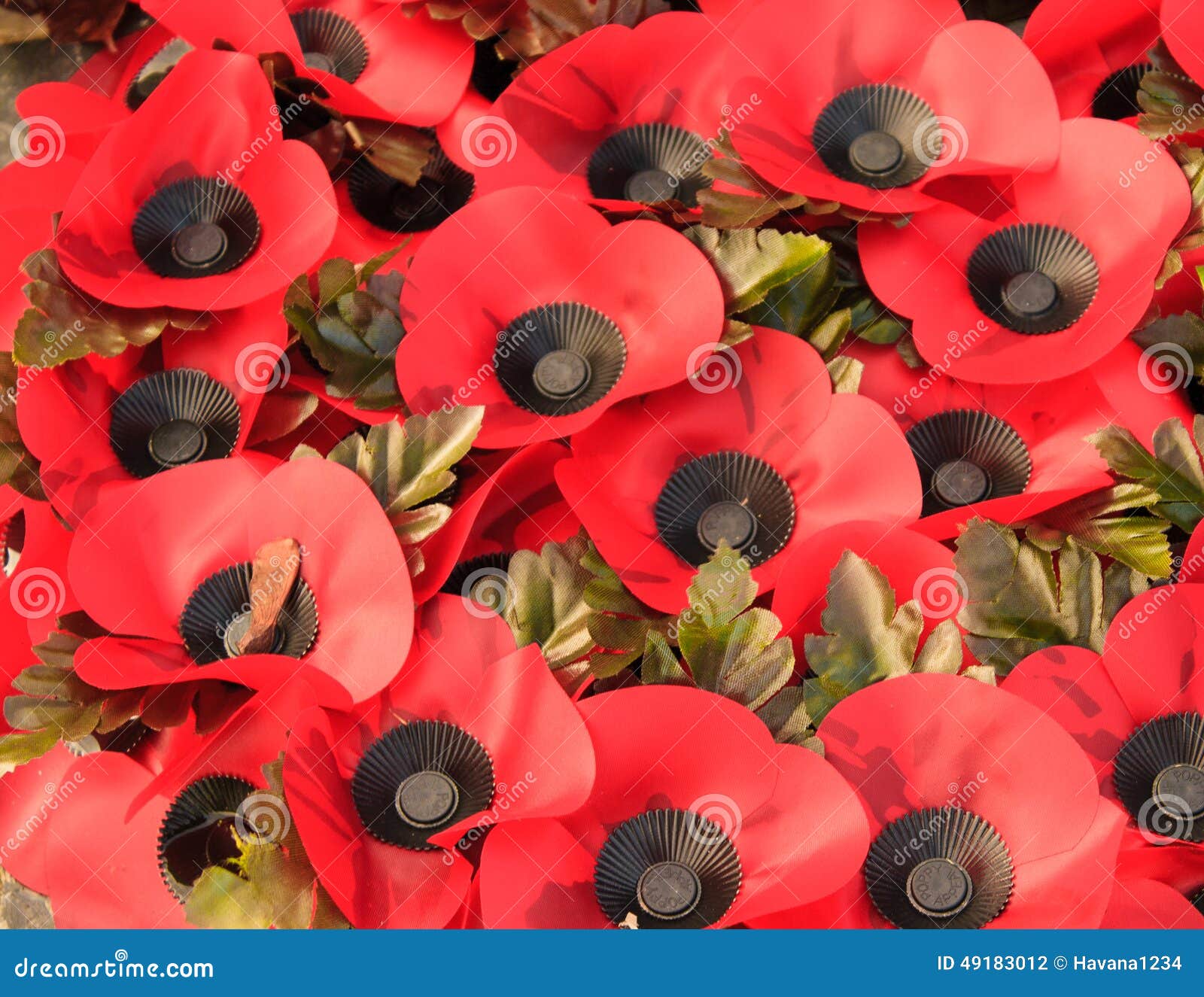Wreath of Poppies To Commemorate the First World War. Stock Photo ...