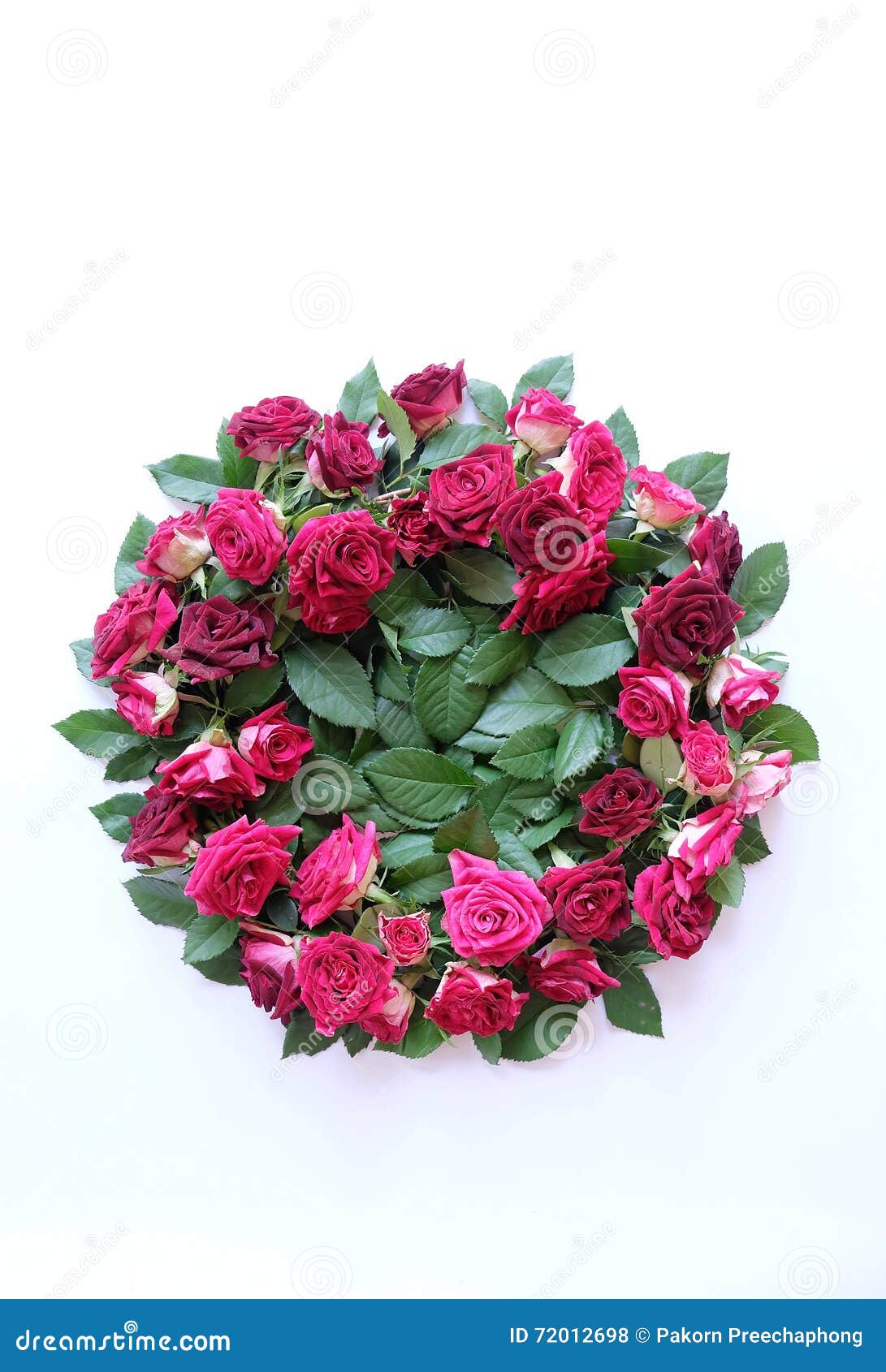 Wreath of red roses stock photo. Image of color, green - 72012698