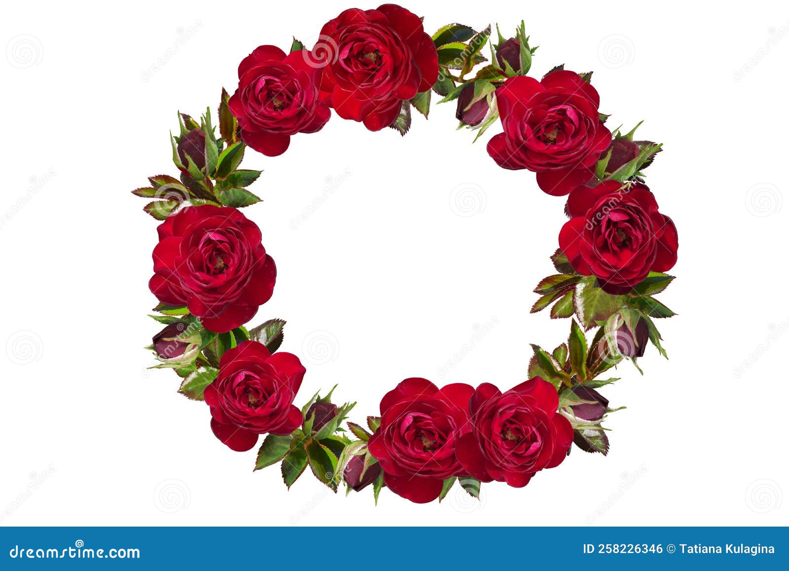 Wreath of Red Roses Isolated on White Background. Stock Photo - Image ...