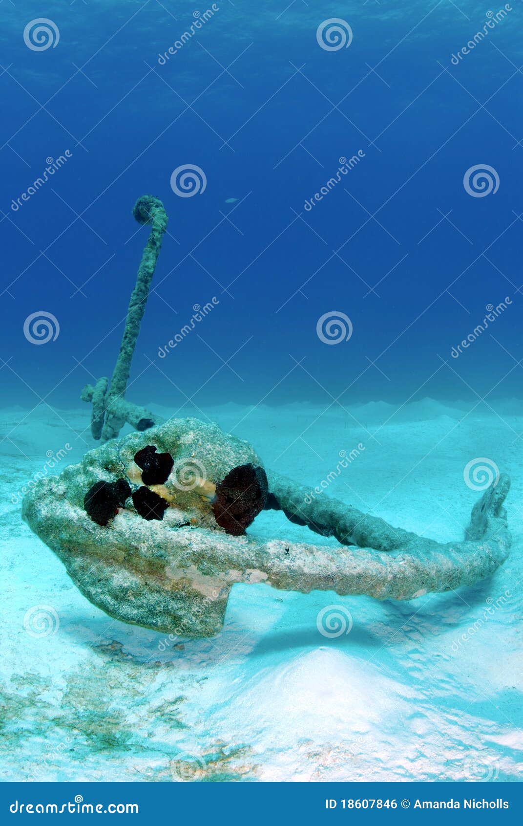 Wreck of an Anchor stock photo. Image of sunken, tourist - 18607846