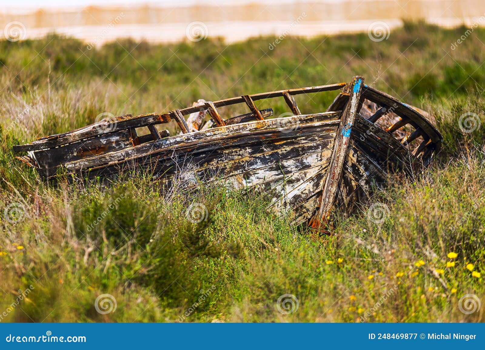 The Wreck of a Dilapidated Boat on Land Covered with Grass Stock Image ...