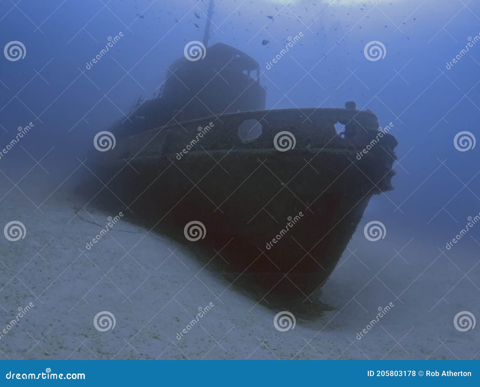 The Wreck Of The Tugboat Rozi Stock Photo | CartoonDealer.com #205801116