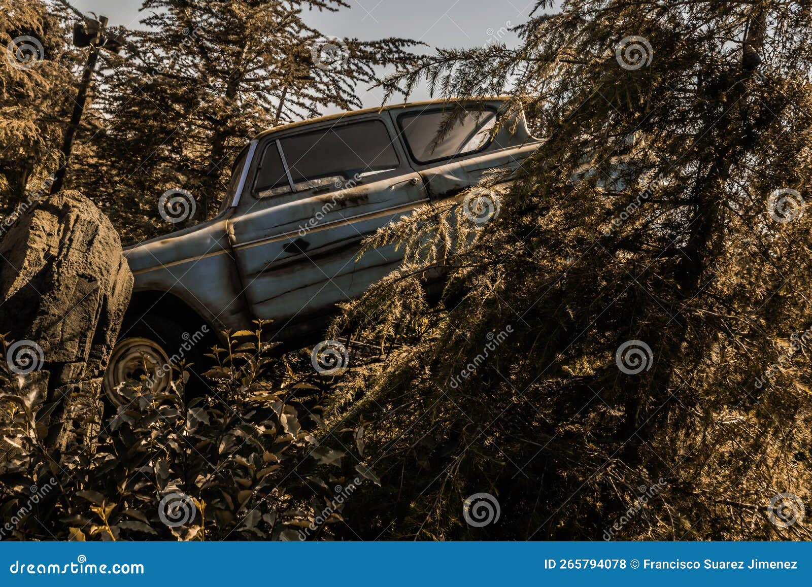 Wrecked Car Crashed in Tree Stock Photo - Image of vintage, broken ...