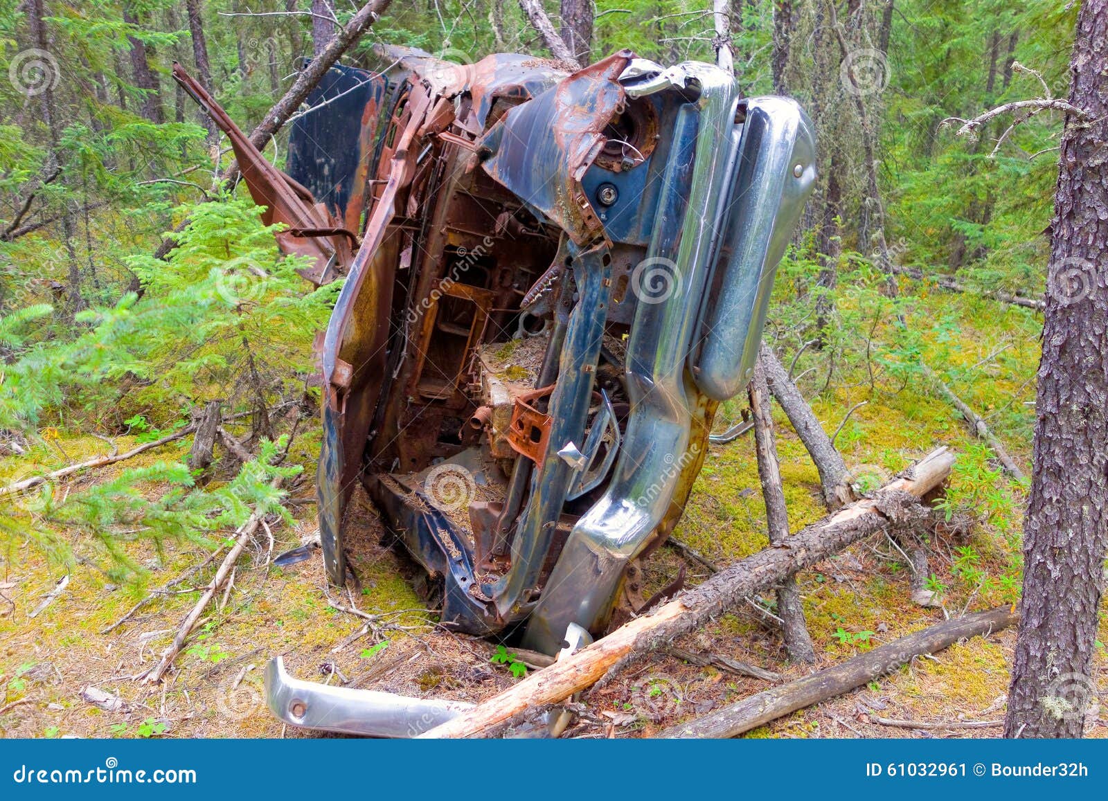 A Wrecked Car in the Wilderness Stock Image - Image of green, tipped ...