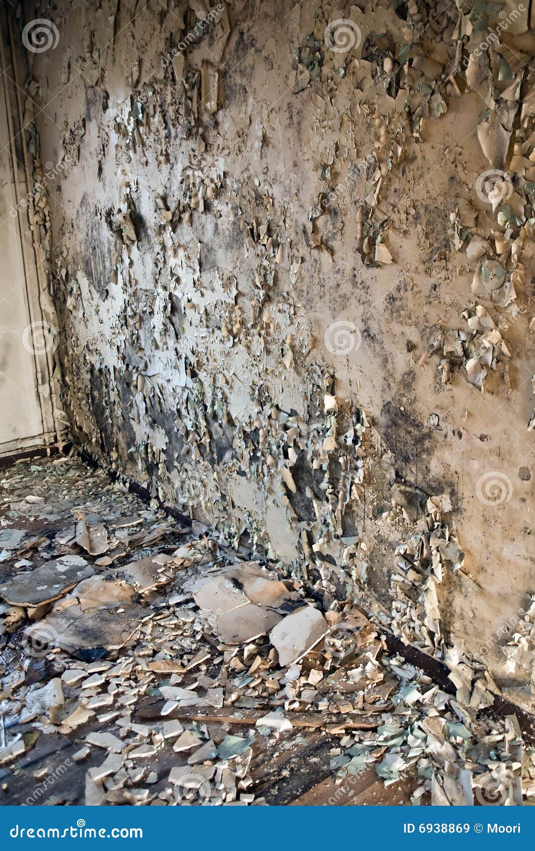 Wrecked home stock image. Image of damage, mold, moisture - 6938869