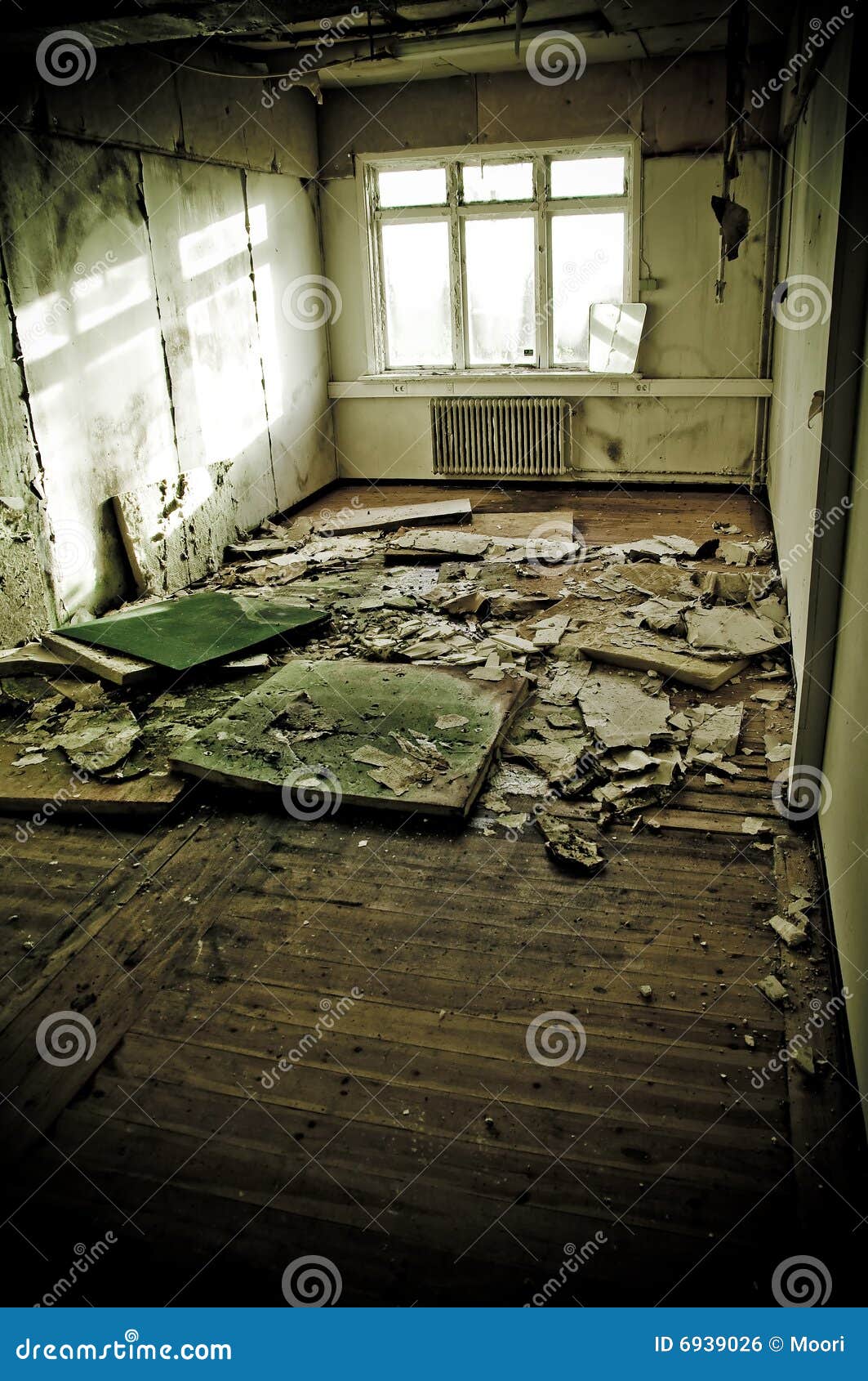 Wrecked home stock photo. Image of waste, moisture, mildew - 6939026