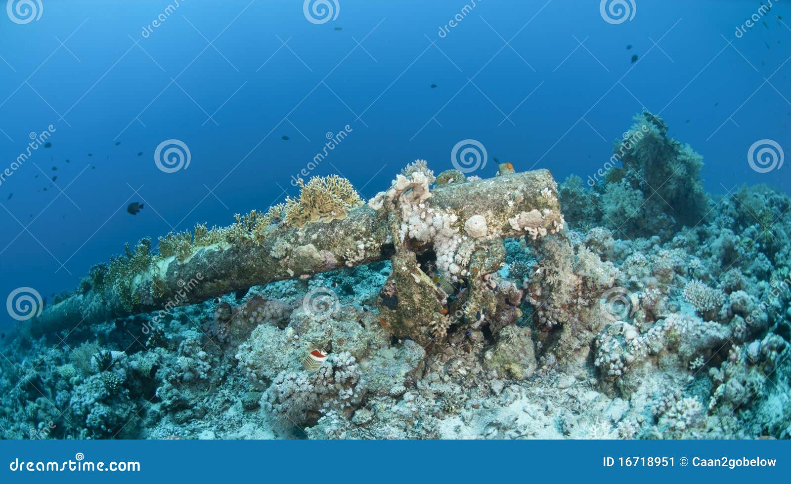 Wrecked Mast of the Sunken Yolanda Ship. Stock Image - Image of ...