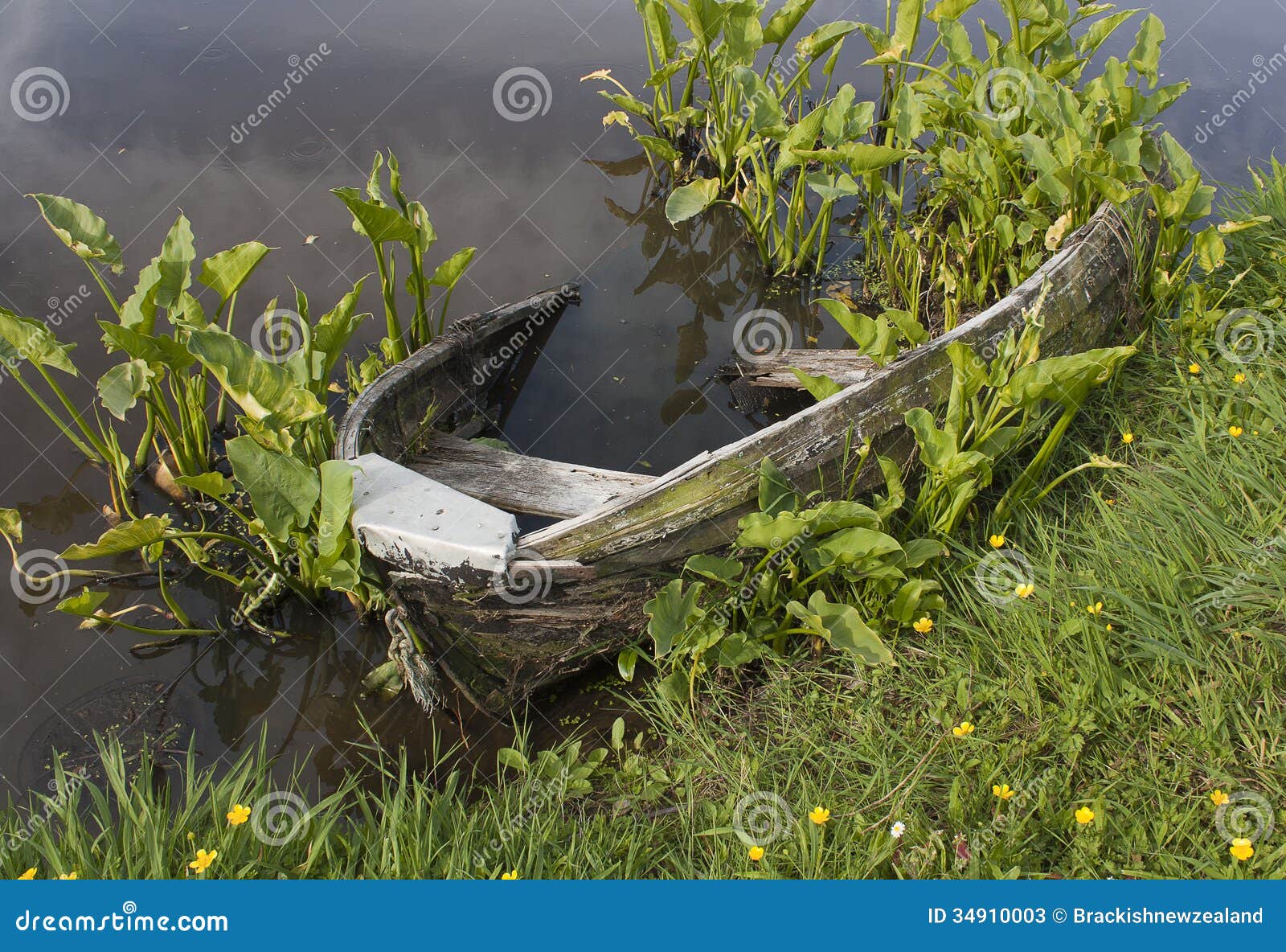 Wrecked row boat in pond stock image. Image of antique - 34910003