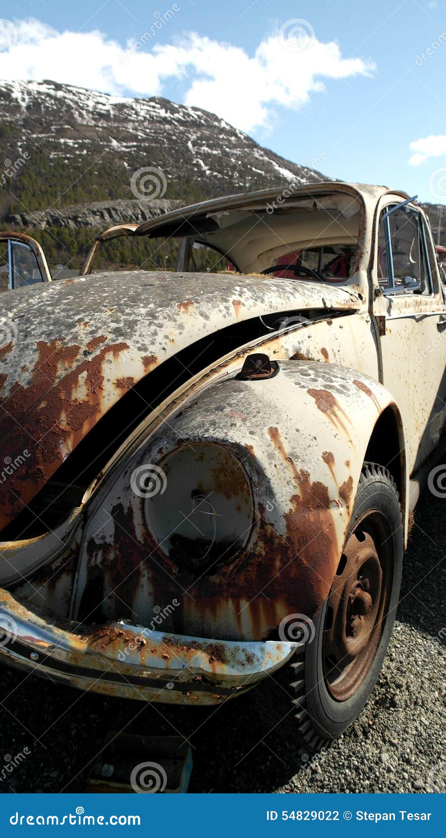 Wrecked VW Beetle stock photo. Image of vreck, sunny - 54829022