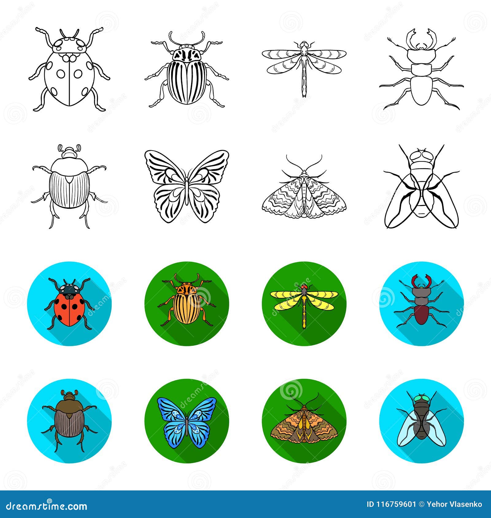 Wrecker, Parasite, Nature, Butterfly .Insects Set Collection Icons in ... Wrecker, Parasite, Nature, Butterfly .Insects Set Collection Icons in ...