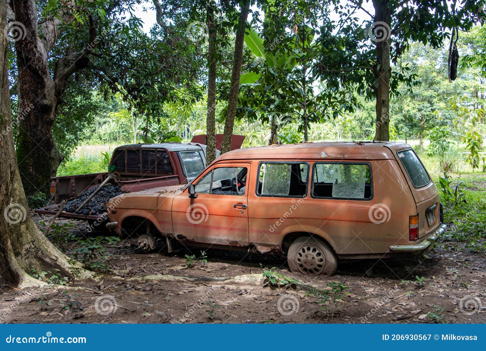 Wrecks of Old Cars among the Trees in the Forest Editorial Photography ...