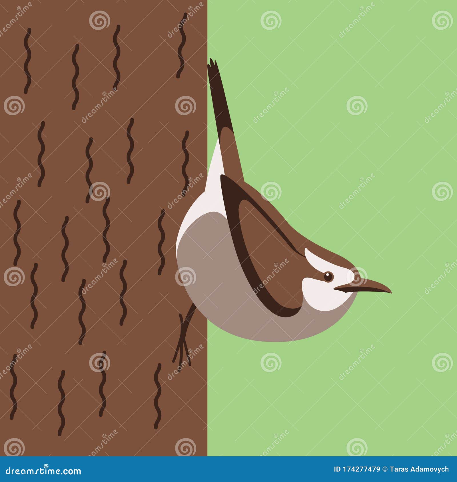 Wren Bird,vector Illustration,flat Style ,profile Stock Vector ...