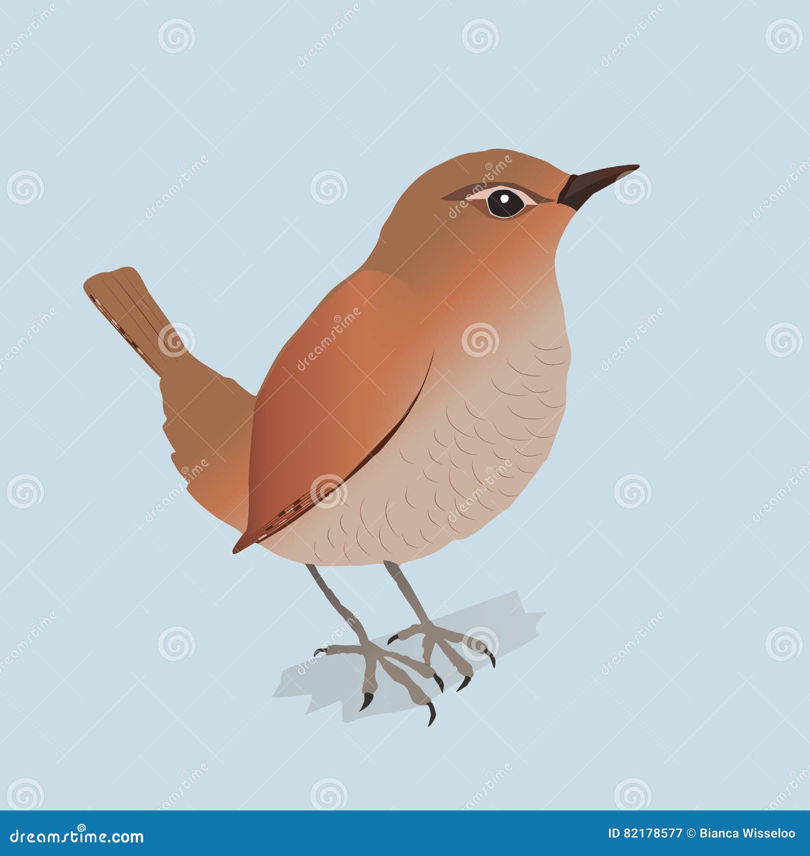 Eurasian Wren, Troglodytes Sitting On A Branch And Trying To Catch A ...