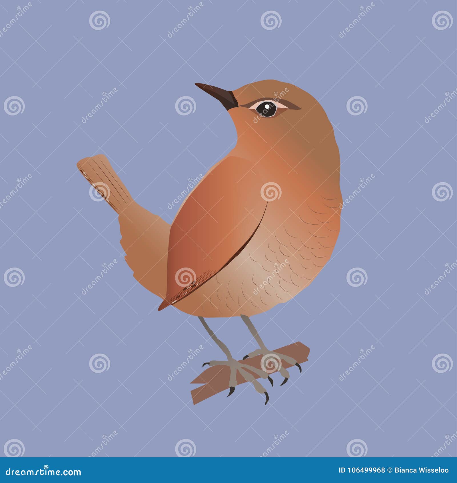 A Cute Wren Cartoon Illustration | CartoonDealer.com #178422812