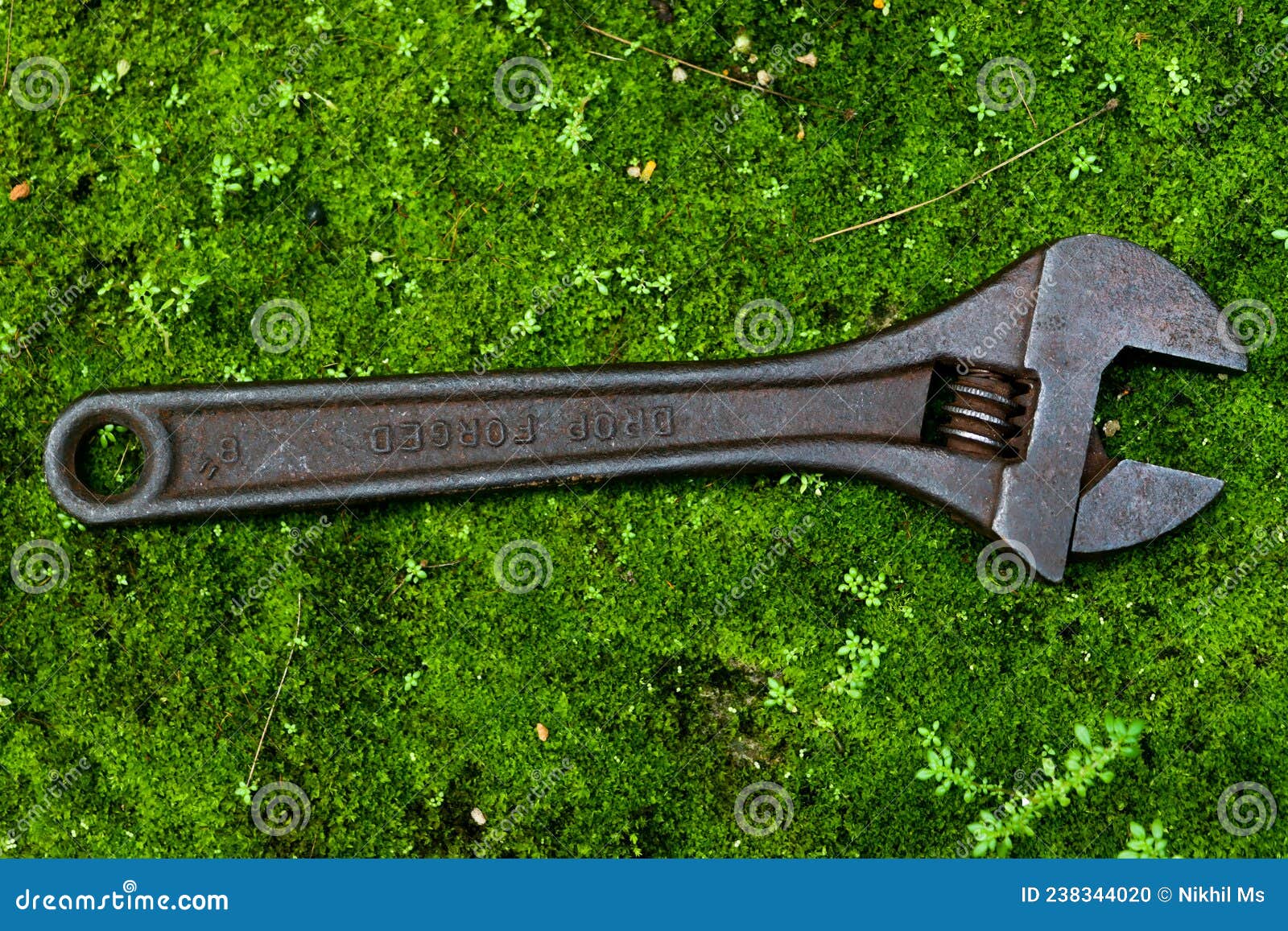 Wrench Spanner Adjustable Spanner Stock Photo - Image of nature, green ...