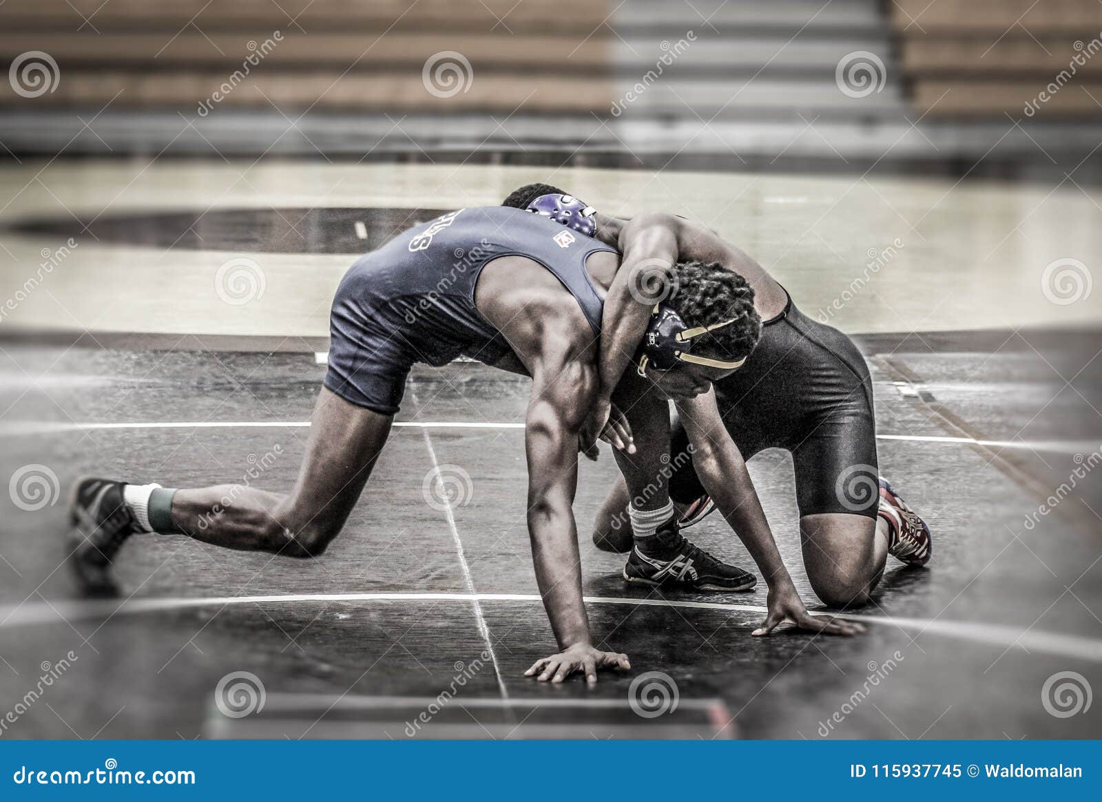 The Wrestlers - Grappling for Victory Editorial Image - Image of sport ...