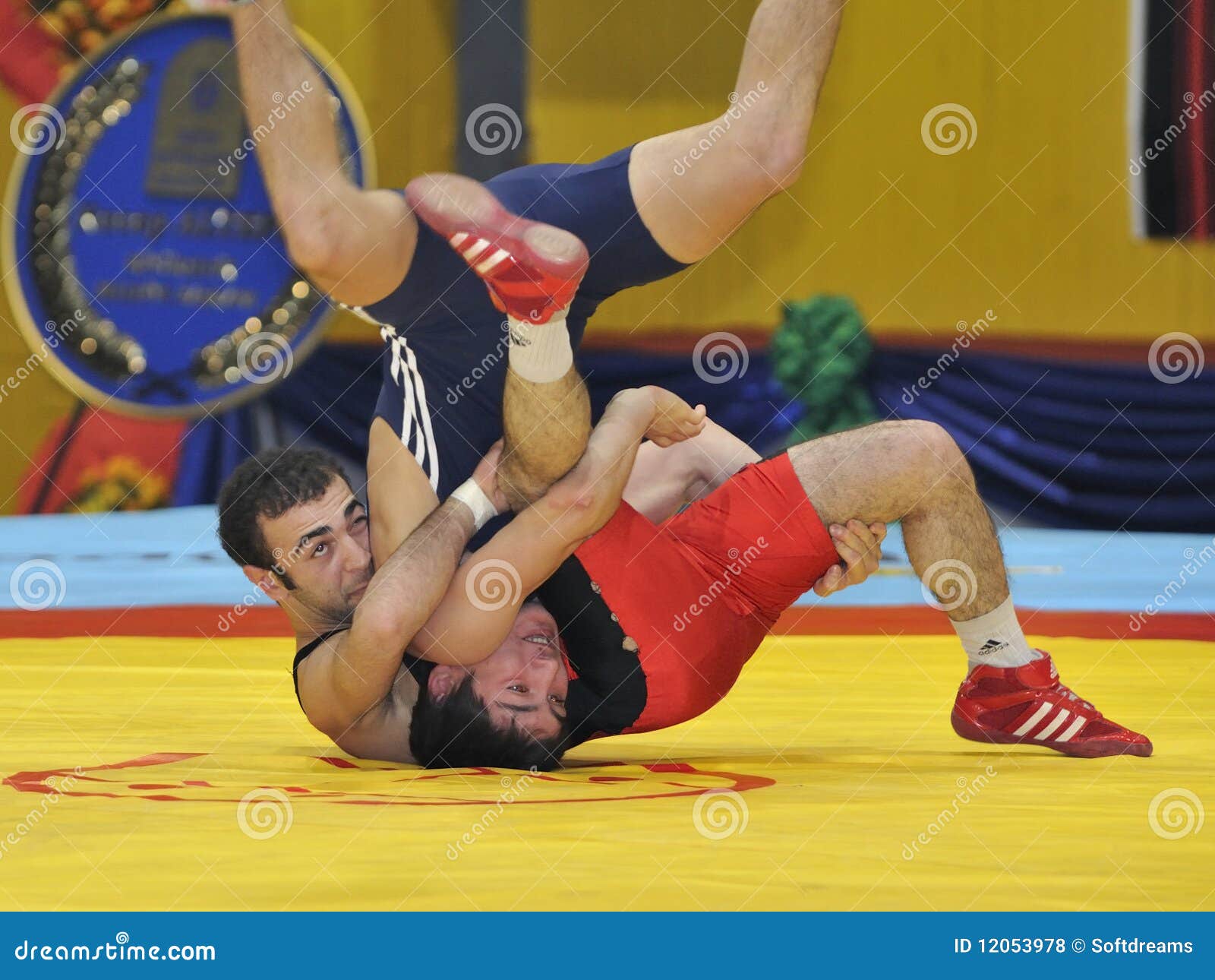 Wrestling editorial stock photo. Image of blue, freestyle - 12053978