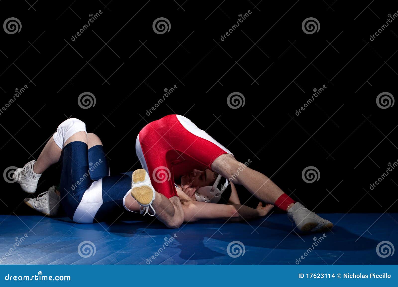 Wrestling stock photo. Image of freestyle, sport, match - 17623114