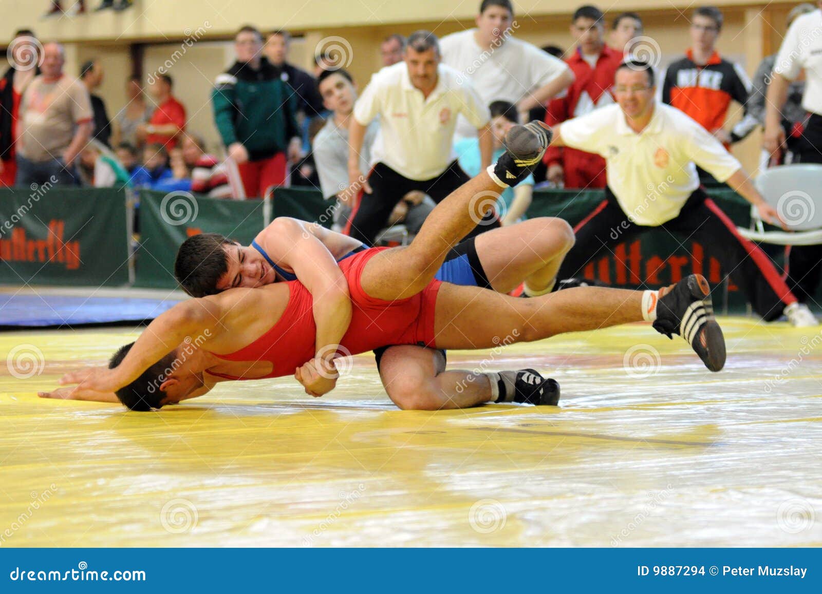 Wrestling Action From The Elmali Turkish Oil Wrestling Festival In ...