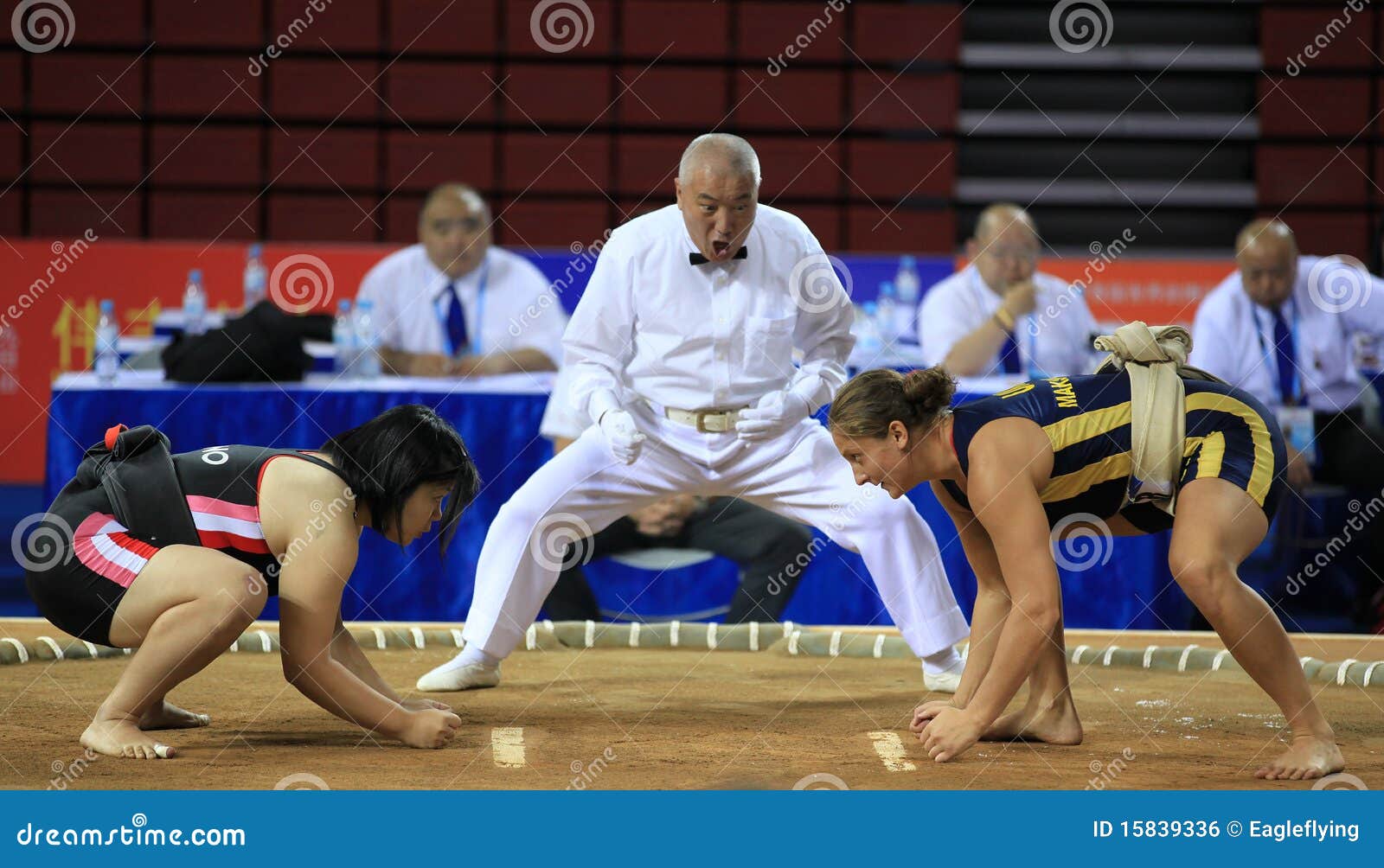 Wrestling De Sumo Das Mulheres Foto Editorial - Imagem de evento, briga ...
