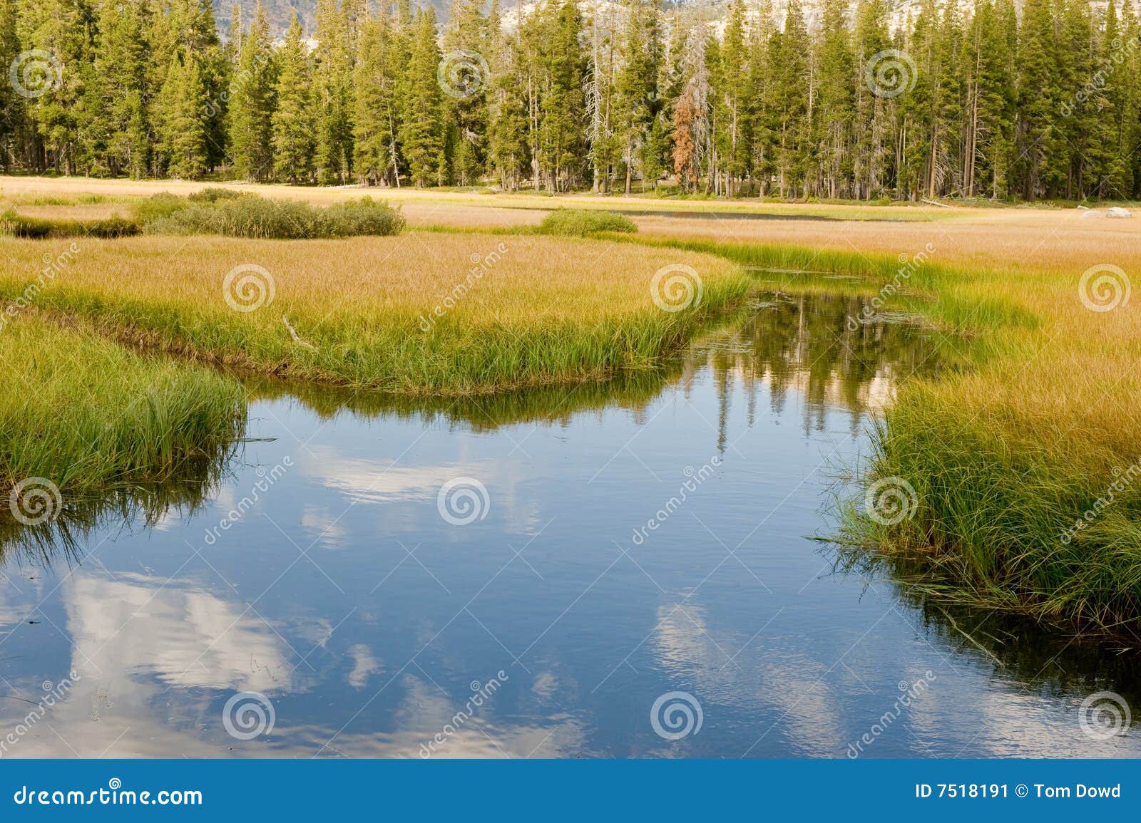 Wrights Lake Channel stock image. Image of lake, nature - 7518191