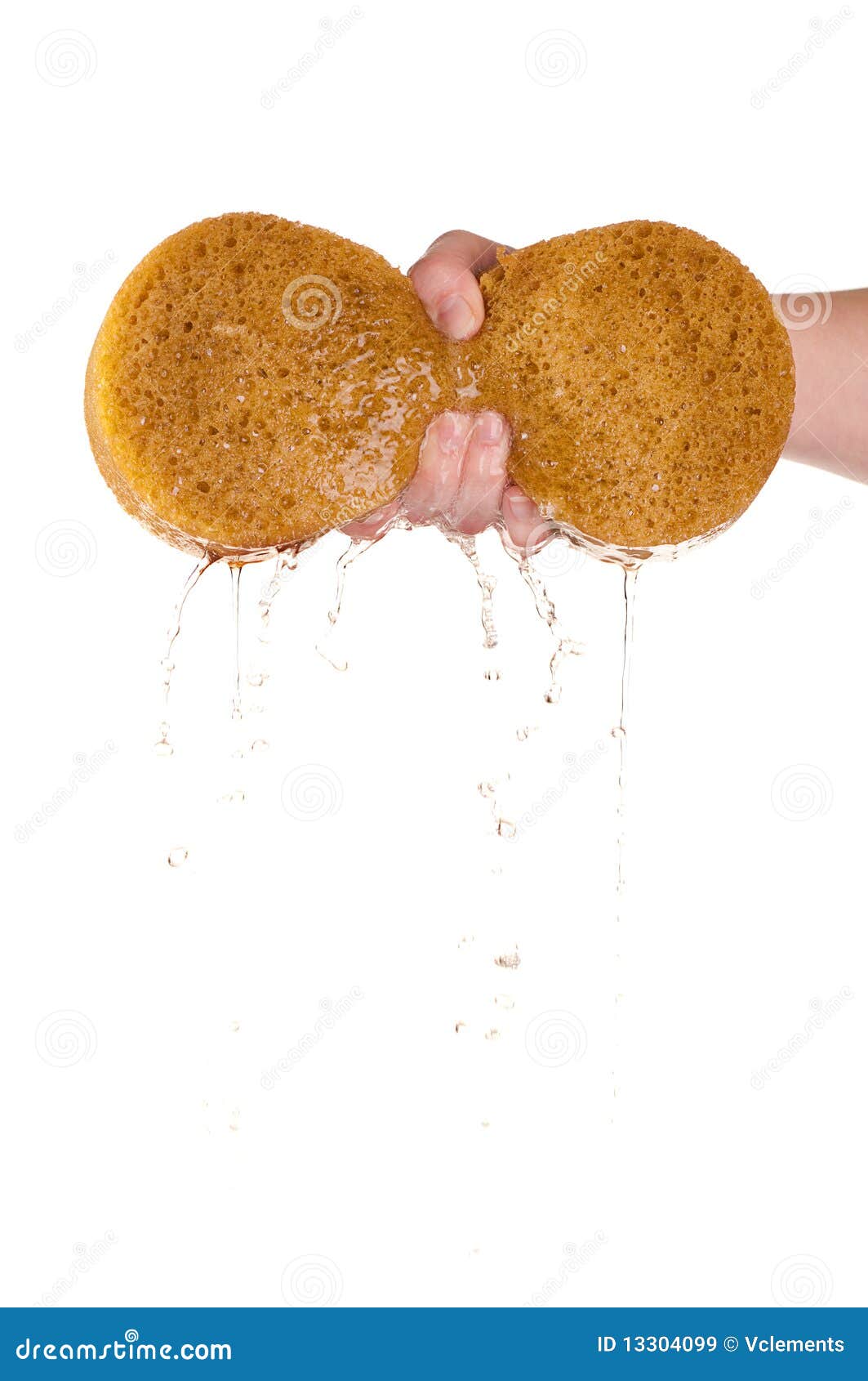Wringing the Water Out of a Sponge on White Stock Image - Image of ...