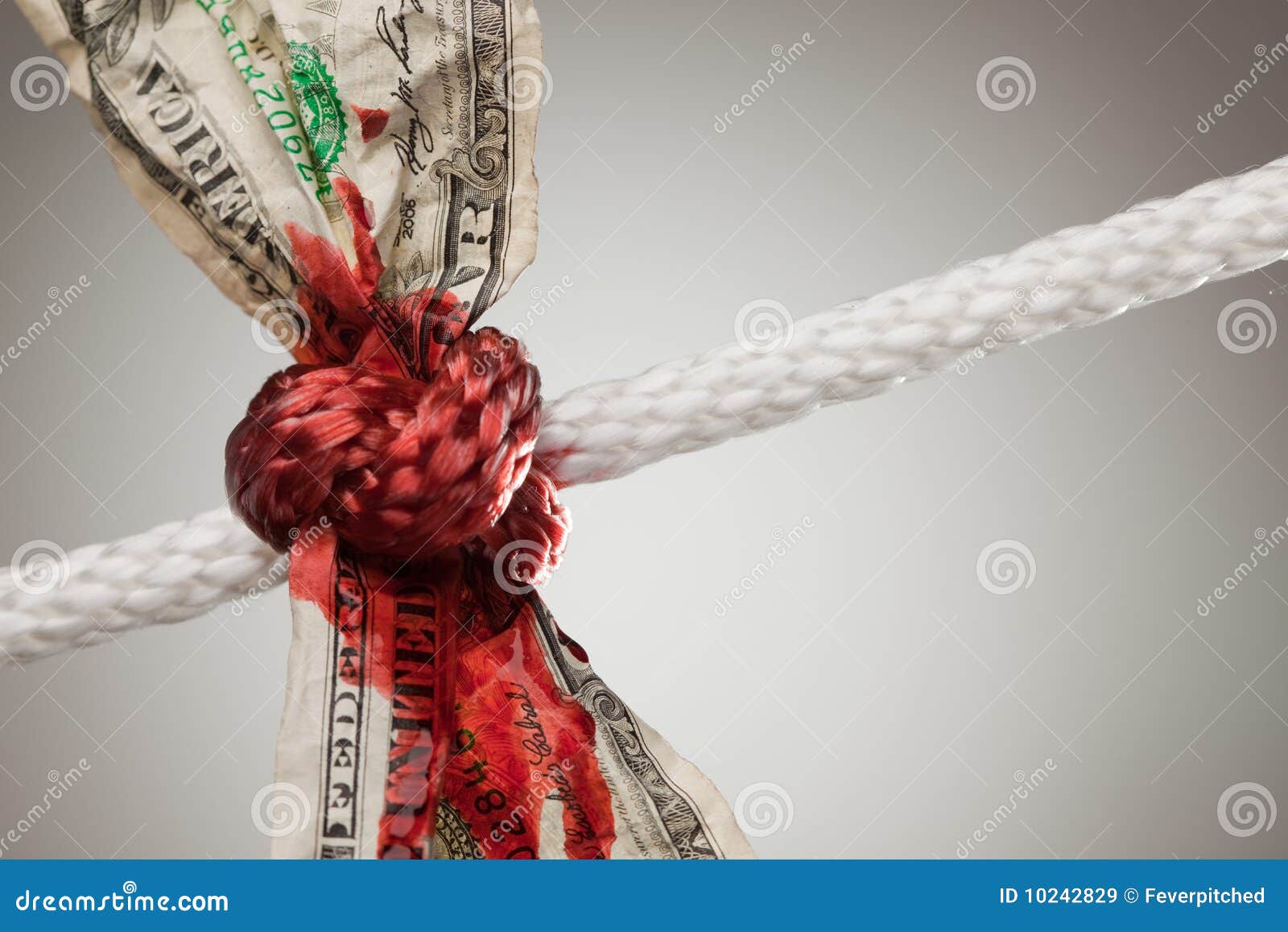Wrinkled American Dollar Bleeding in Rope Stock Image - Image of dollar ...