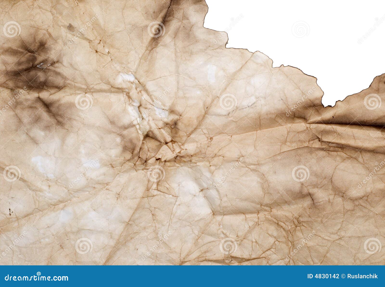 Wrinkled burnt paper stock photo. Image of document, fashioned - 4830142