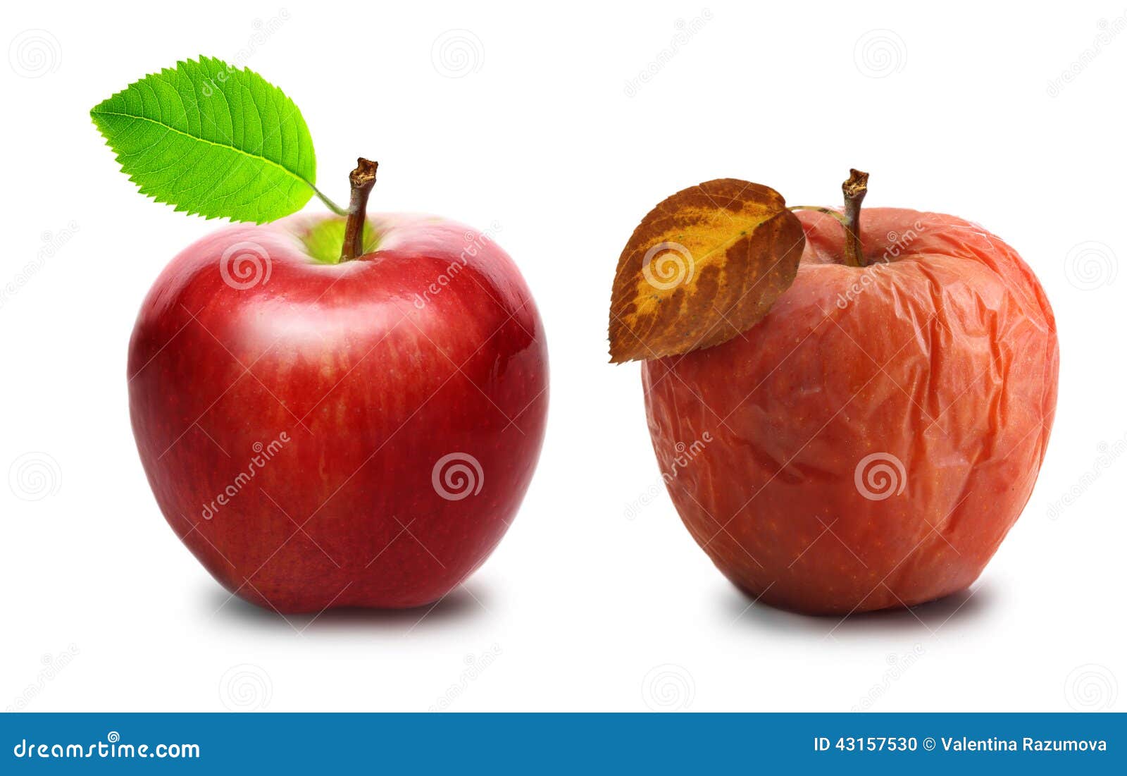 171 Wrinkled Fresh Apple Isolated Photos - Free & Royalty-Free Stock ...