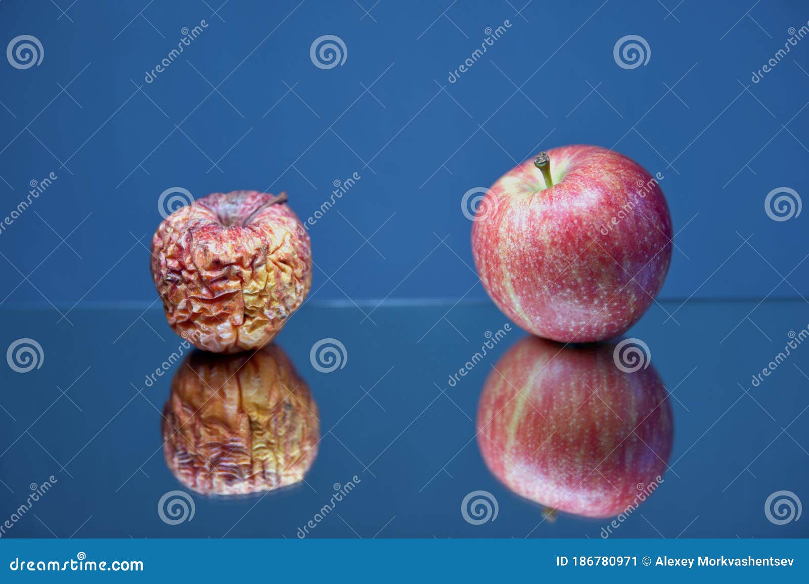 Wrinkled and Fresh Beautiful Apples on a Mirror Surface with Reflection ...