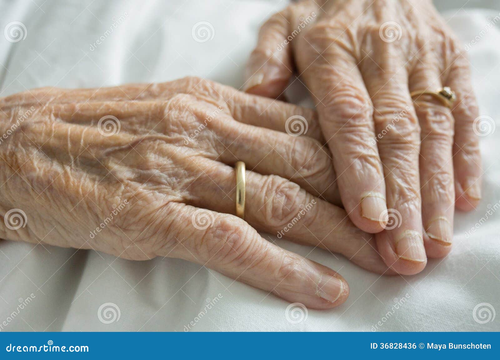 Old Wrinkled Hands Stock Image | CartoonDealer.com #22195903