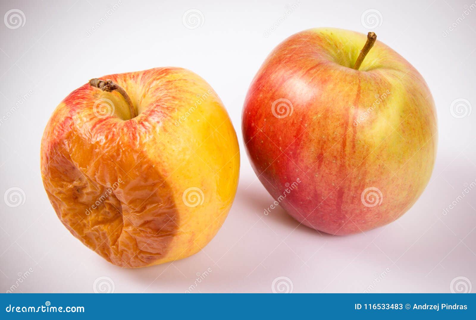The Rotten Apple That Being Bite Isolated On White Background. Royalty ... The Rotten Apple That Being Bite Isolated On White Background. Royalty ...