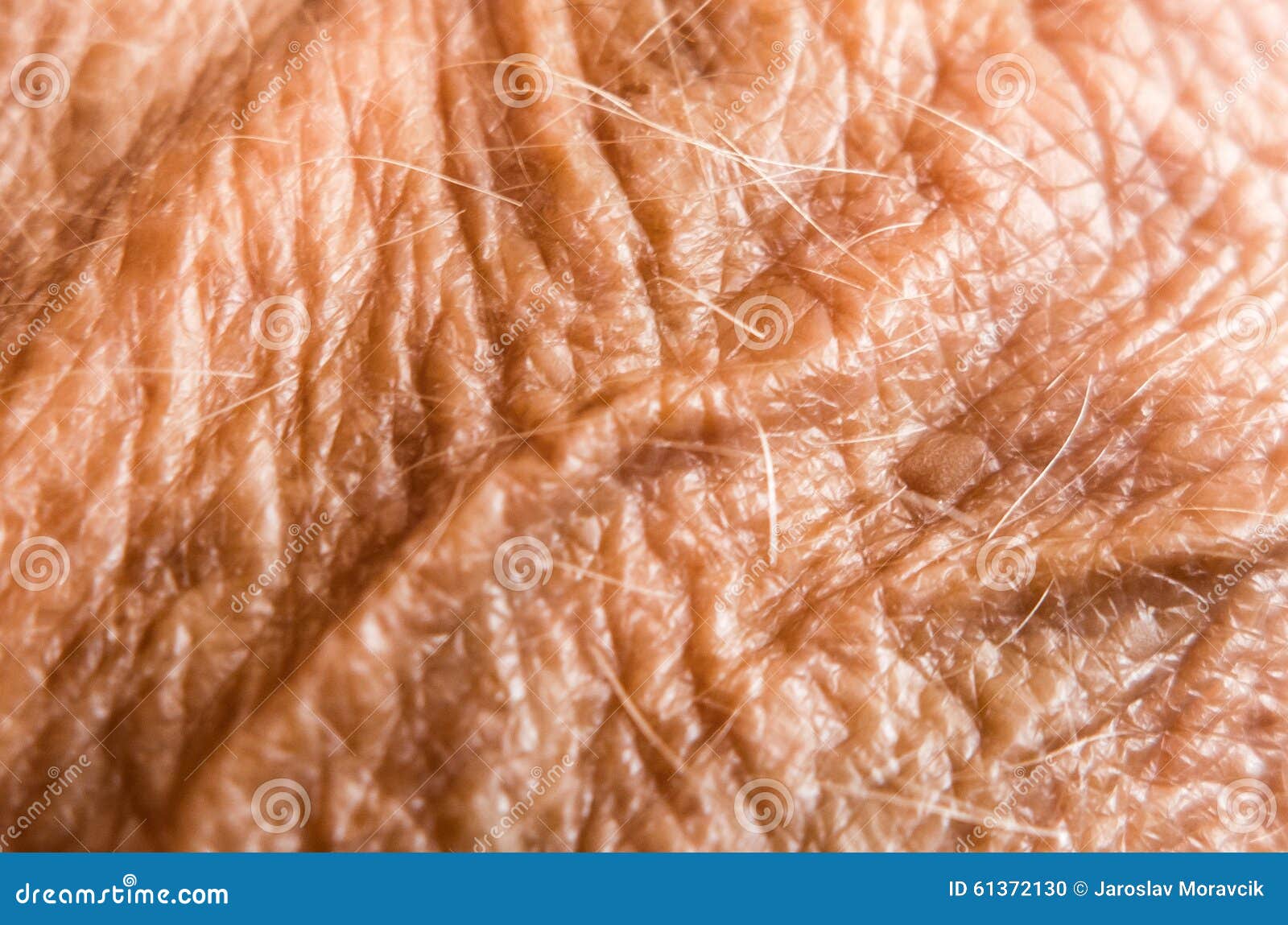 Wrinkled skin on hand stock photo. Image of skin, macro - 61372130