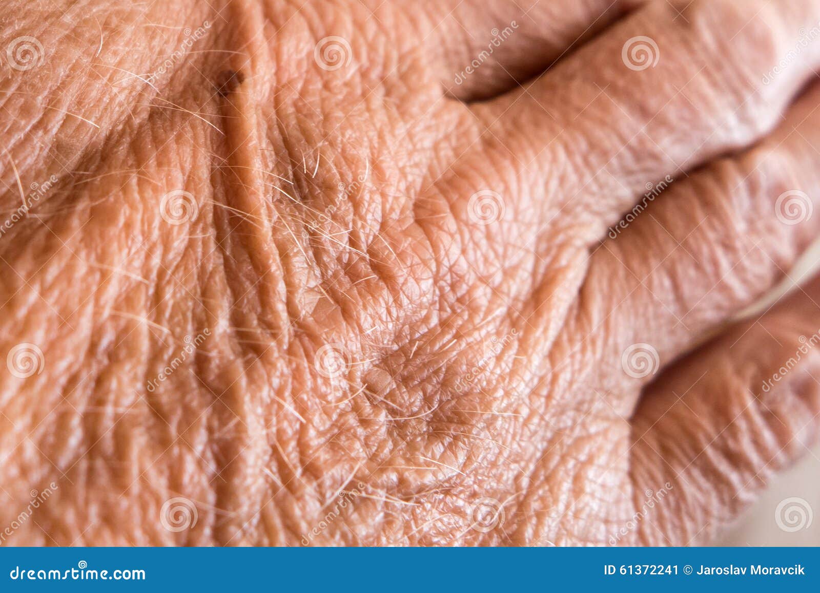 Wrinkled skin on hand stock image. Image of hand, senile - 61372241