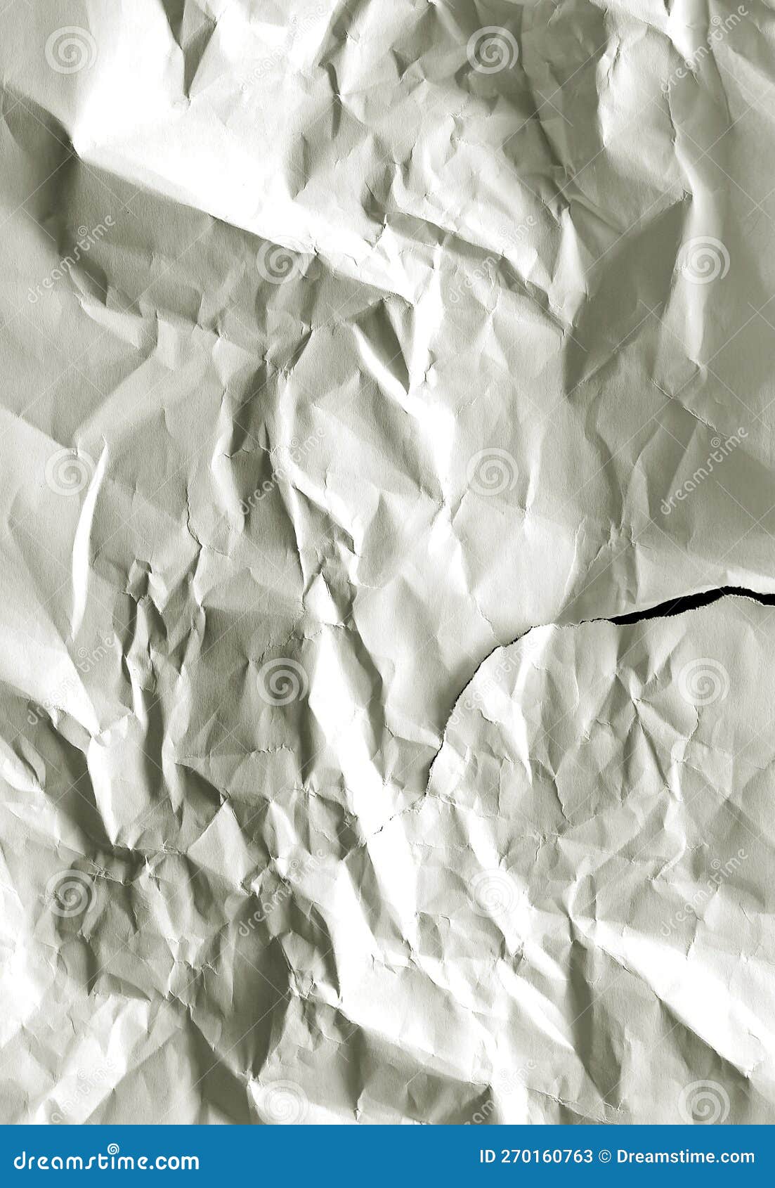 Wrinkled and Torn White Paper. Textured Paper Background with Copy ...