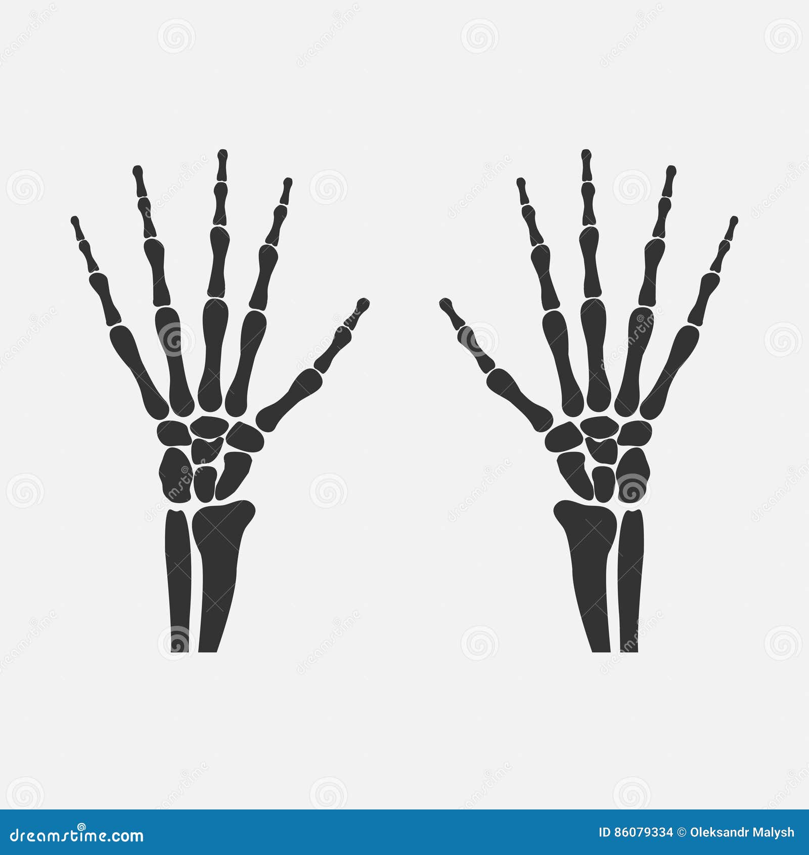 Wrist hands bones stock vector. Illustration of human - 86079334