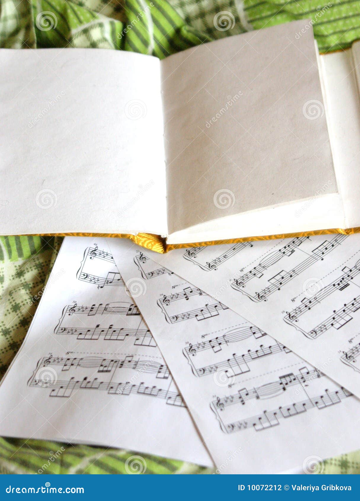 Writing-book and notes stock photo. Image of material - 10072212