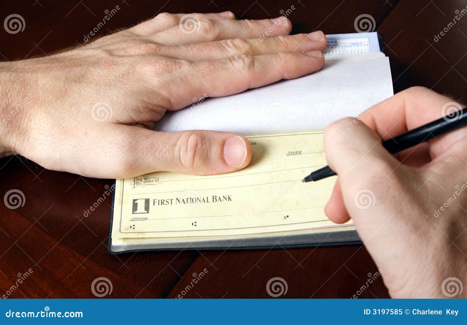 Writing the Check stock image. Image of financial, balance - 3197585