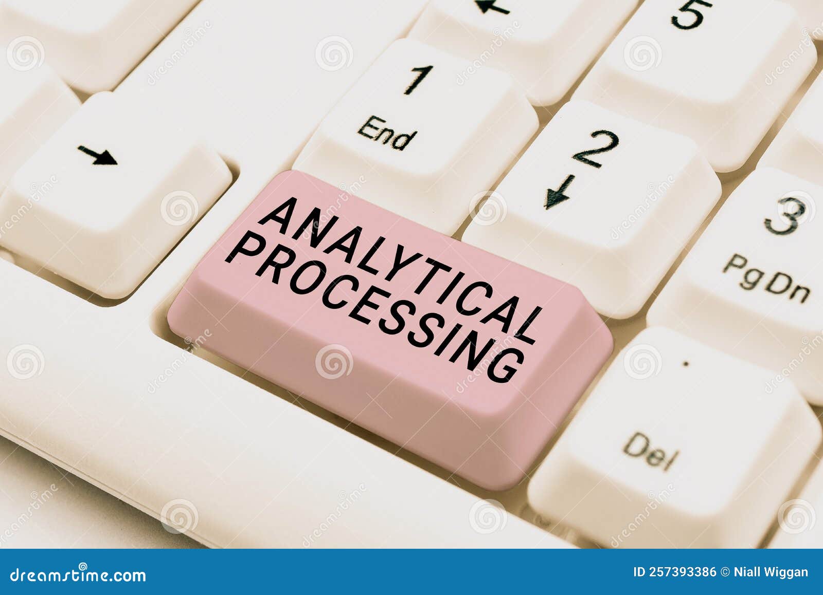 Writing Displaying Text Analytical Processing. Word for Easily View Write Reports Data Mining ...