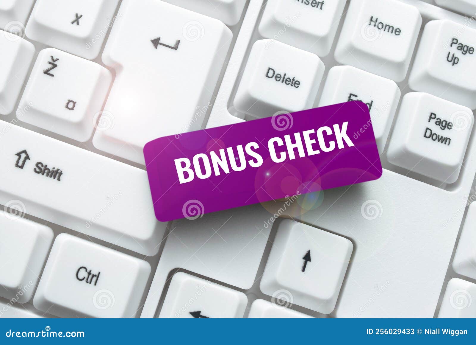 Conceptual Caption Bonus Check. Internet Concept Something in Addition ...