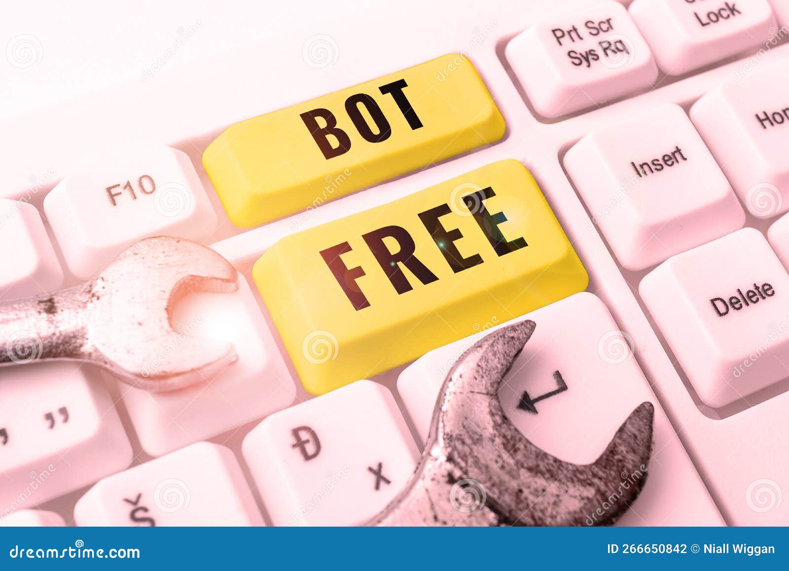 Writing Displaying Text Bot Free Word For A Computer Program That
