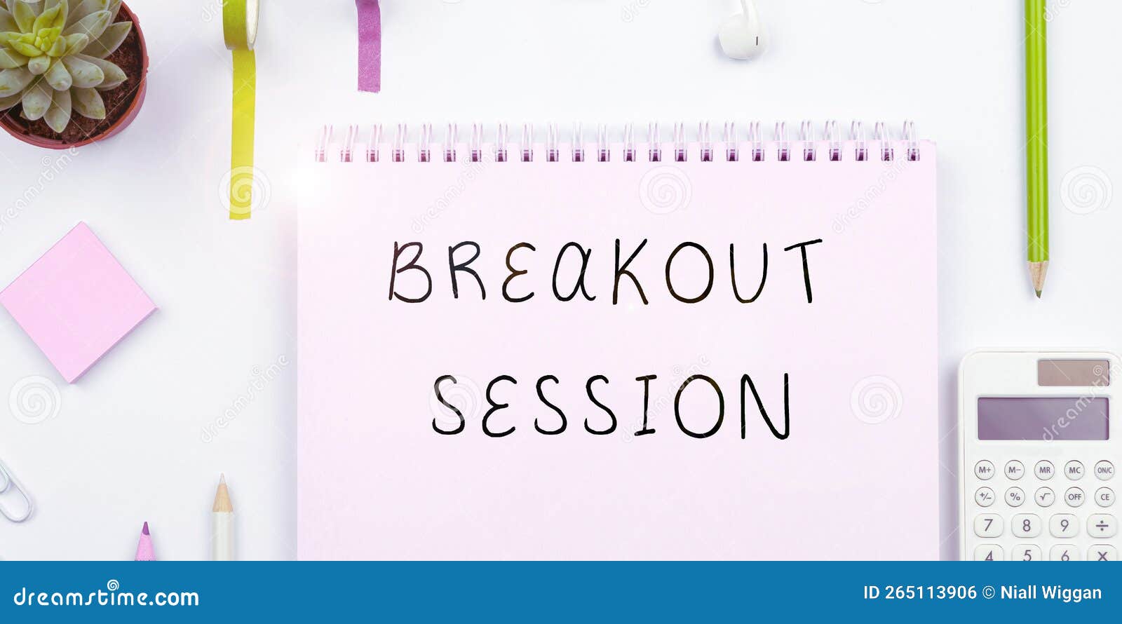 Conceptual Display Breakout Session. Business Approach Workshop ...