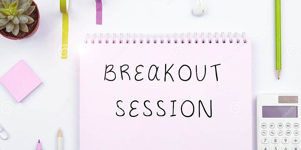 Conceptual Display Breakout Session. Business Approach Workshop ...