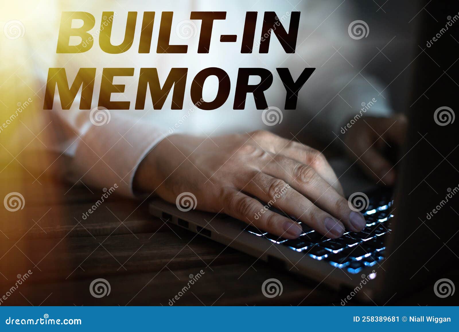 Handwriting Text Built in Memory. Business Overview Device or Feature ...