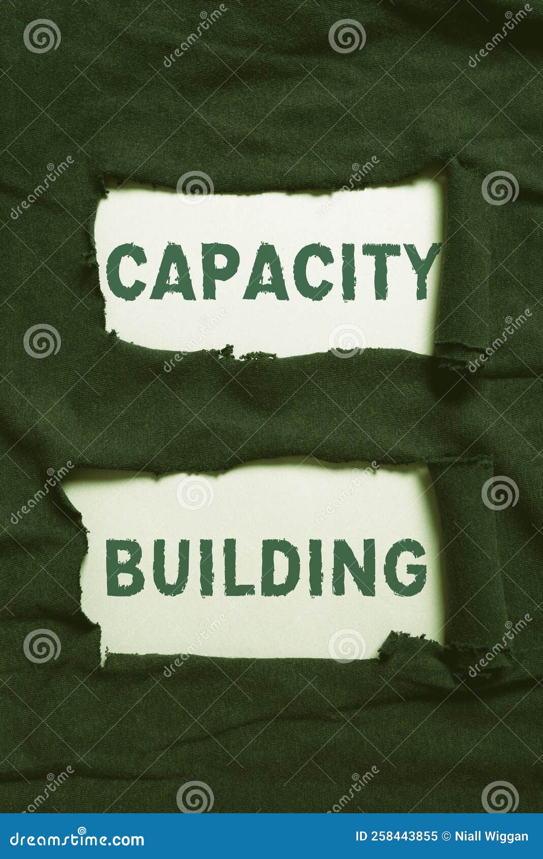 Conceptual Caption Capacity Building. Word Written on Process by Which ...