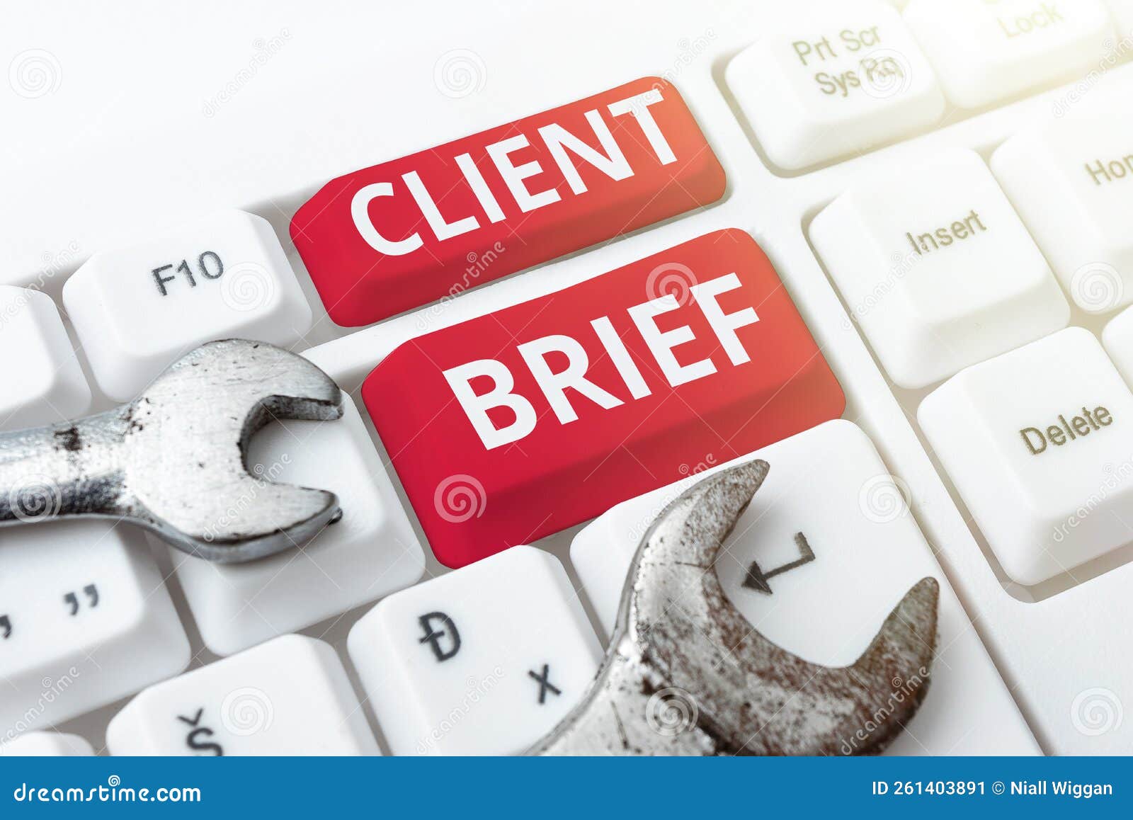 Writing Displaying Text Client Brief. Business Approach the Document ... Writing Displaying Text Client Brief. Business Approach the Document ...